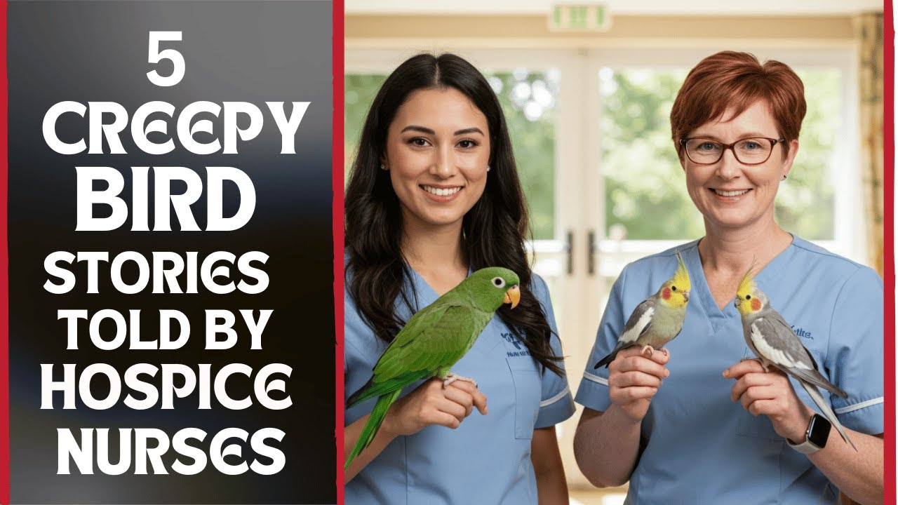 5 CREEPY PARROTS / COCKATIELS STORIES TOLD BY HOSPICE NURSES - YouTube