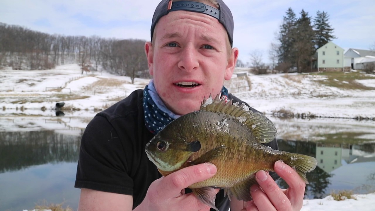 First Fish of 2017!!! | February Pennsylvania Bass Fishing - YouTube