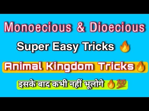Monoecious & Dioecious Phylums Organism Tricks || Animal Kingdom ...