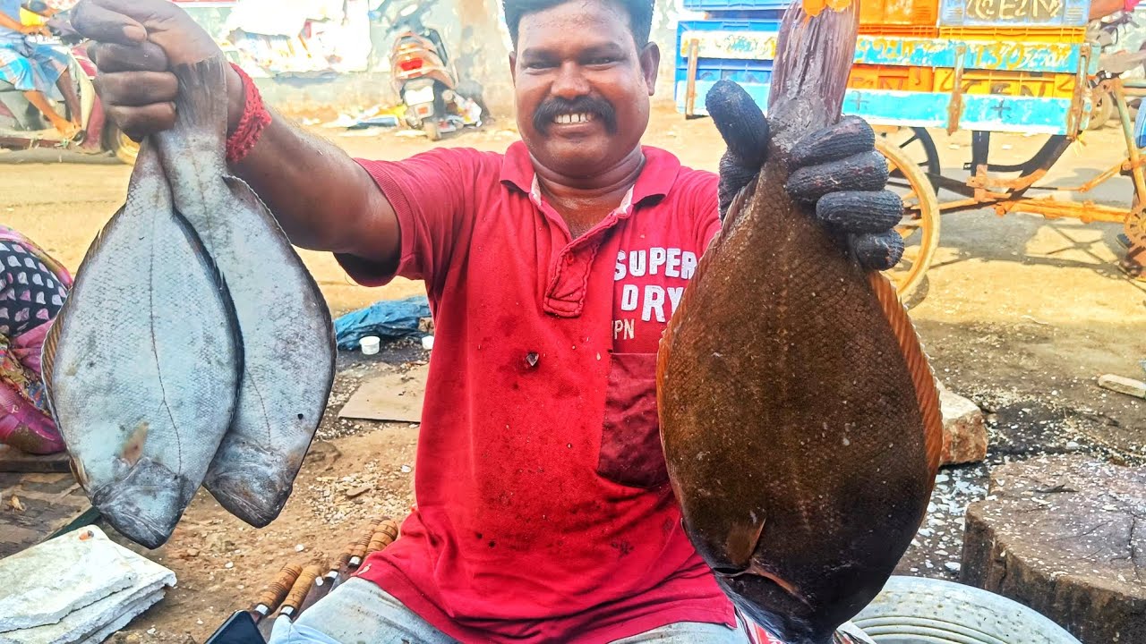 KASIMEDU 🔥 SIRUTHAI DURAI |(SOLE FISH) NAAKU MEAN CUTTING | IN KASIMEDU ...