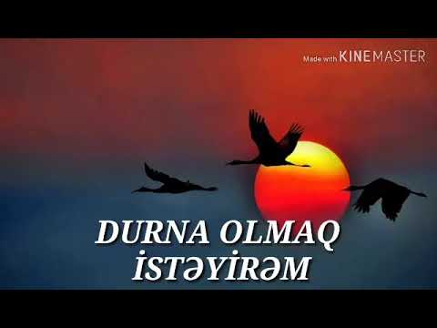 Durna olmaq istəyirəm