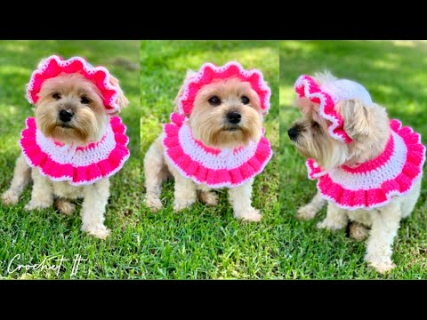 How to crochet a dog bonnet | Multiple sizes | Full free tutorial ...