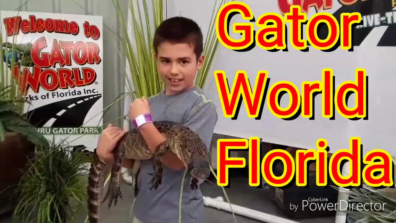 Gator World Review - YouTube