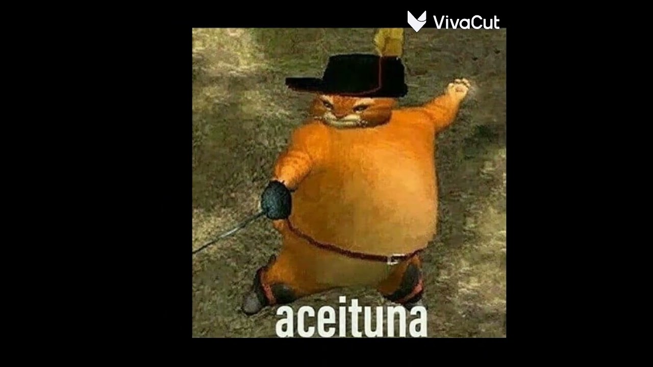 Memes Random con Música de Lit Killah - YouTube