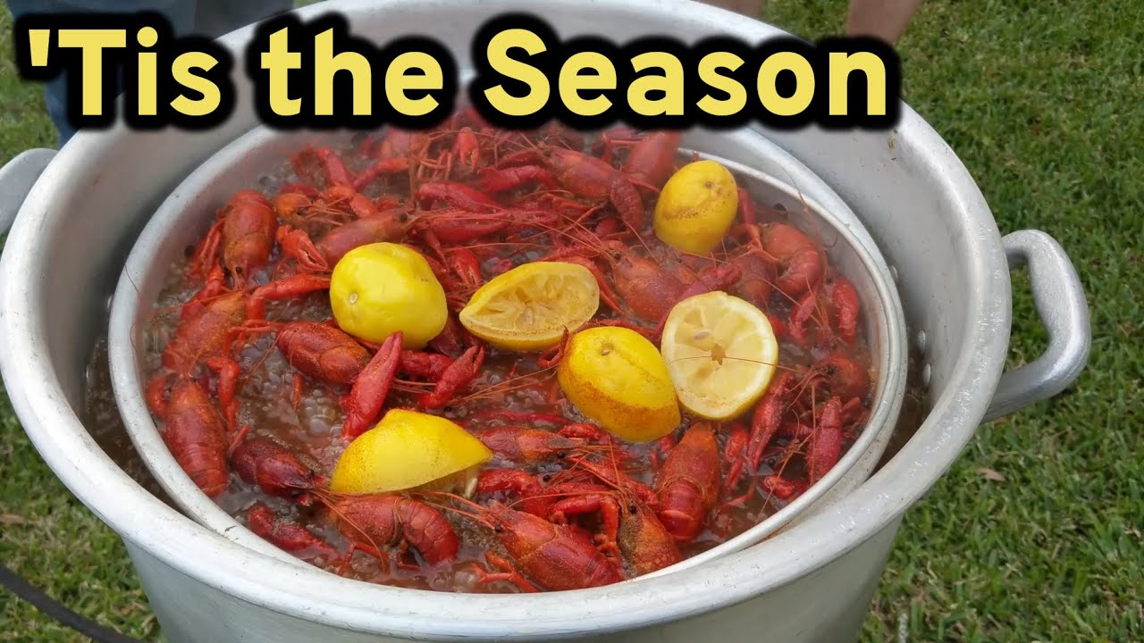 Louisiana Backyard Crawfish Boils - YouTube