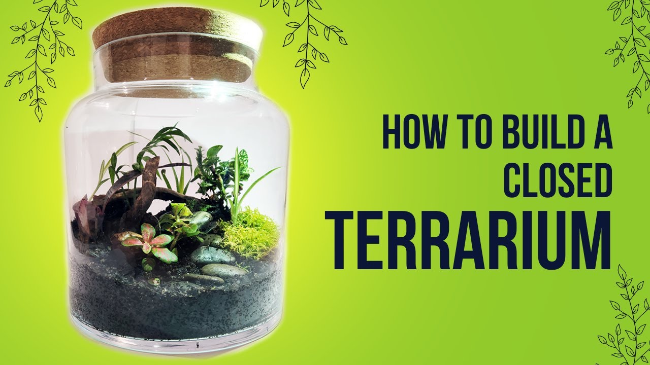 Making a closed terrarium - Green Tiny World - YouTube