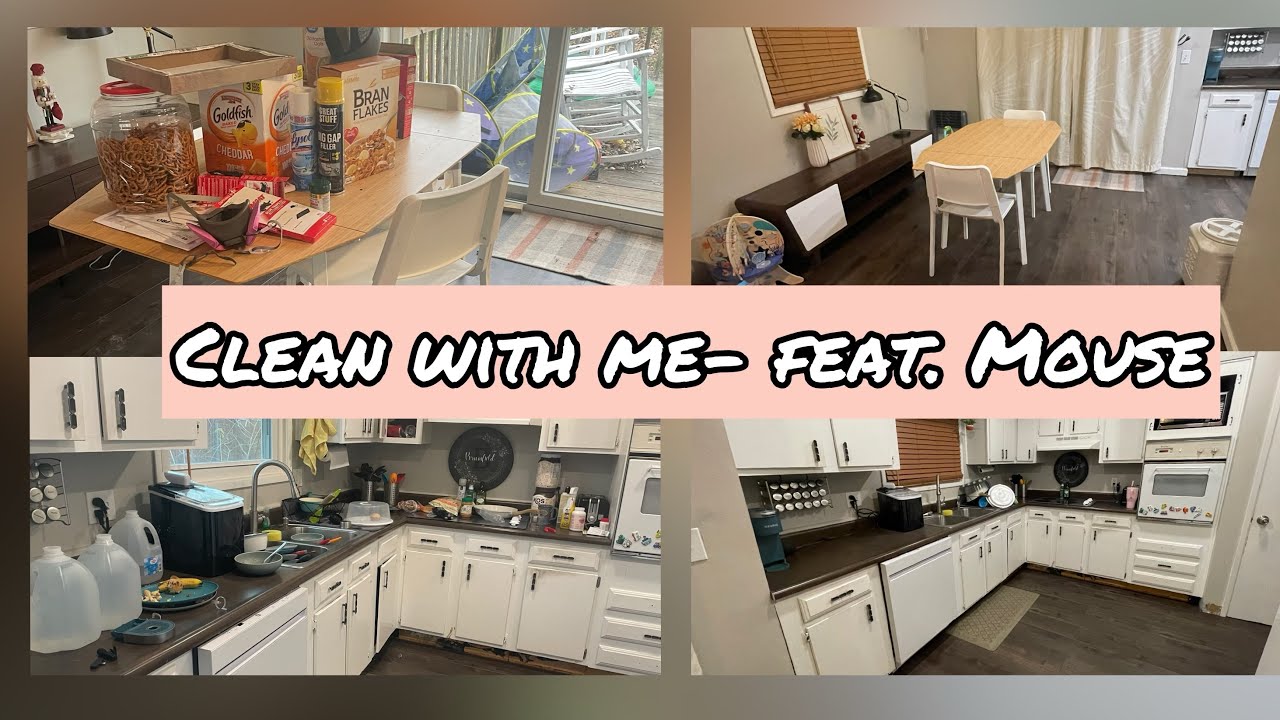 Clean with me gone wrong- MICE - YouTube