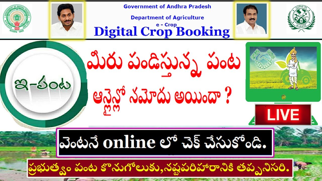 E-Crop Booking status in Online Telugu || e-Karshak Digital Crop ...