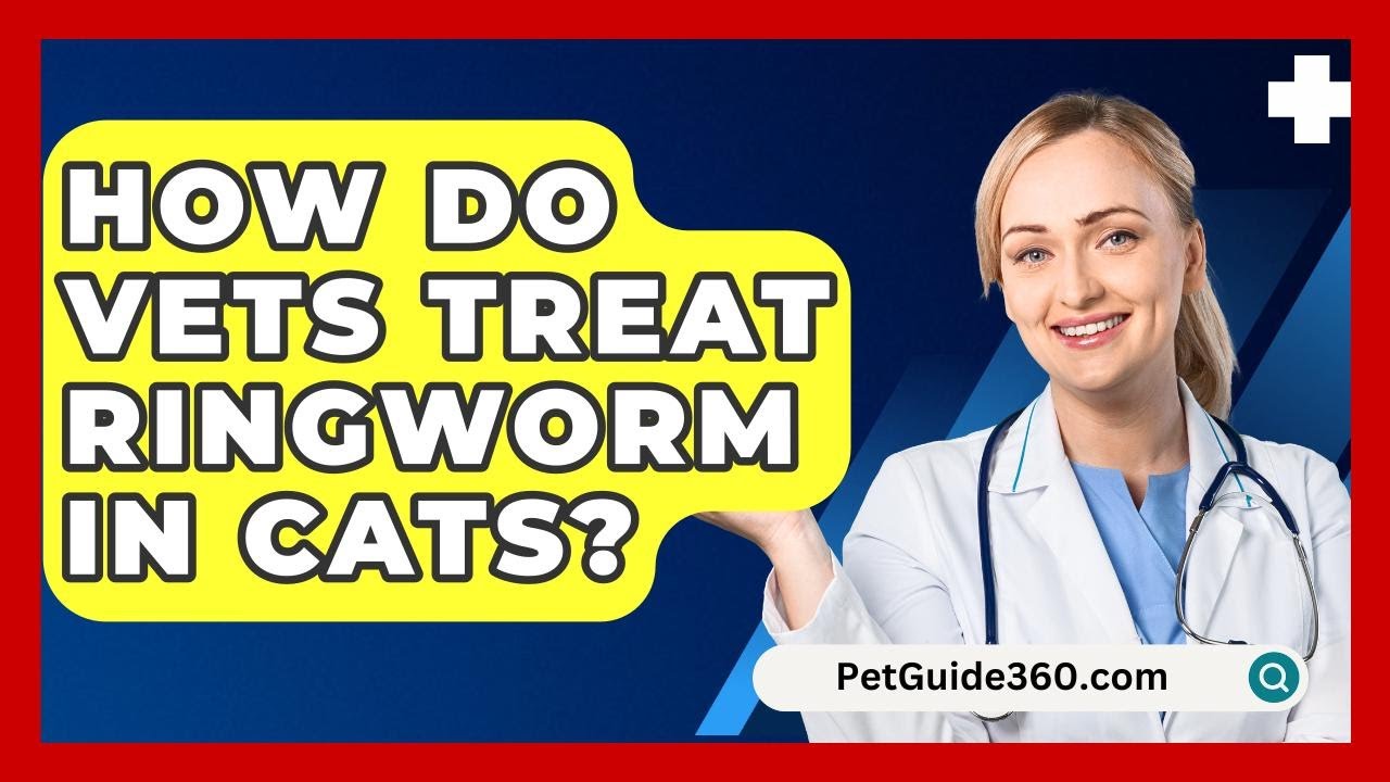 How Do Vets Treat Ringworm In Cats? - PetGuide360.com - YouTube