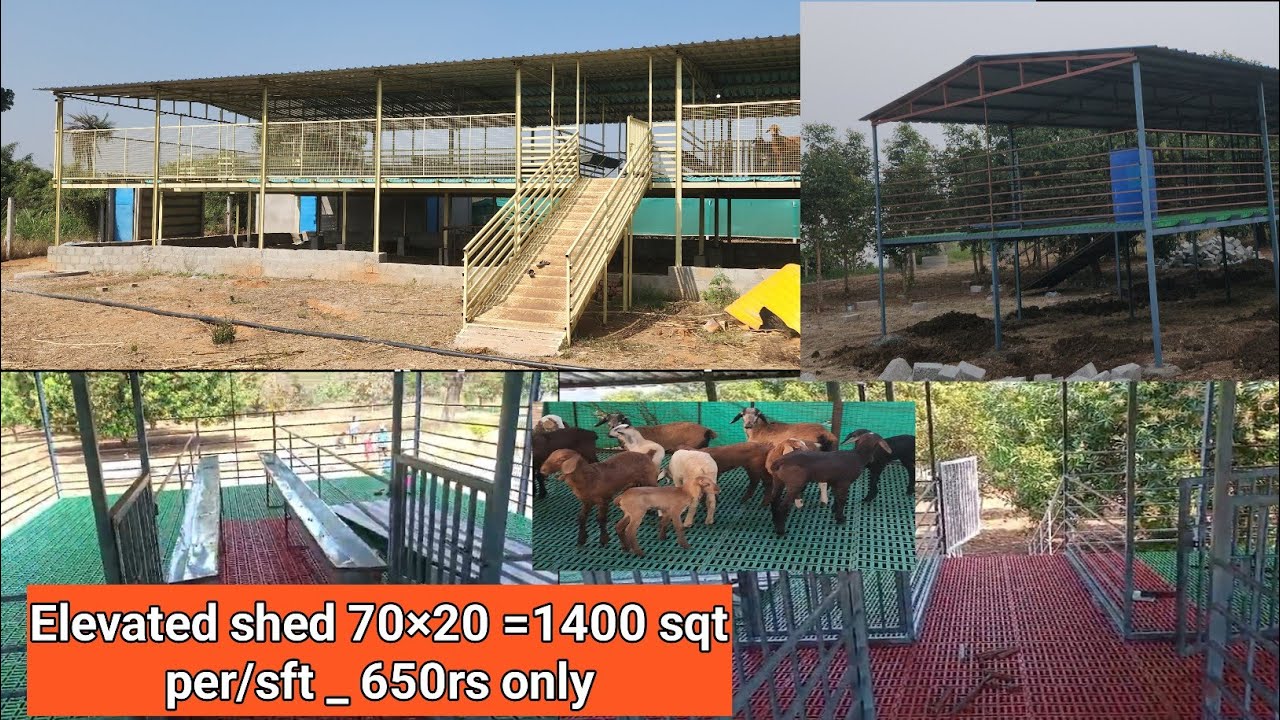 Elevated shed / Hi tech goat farm shed 9381190173 | information about sheep farming shed | #shed ...