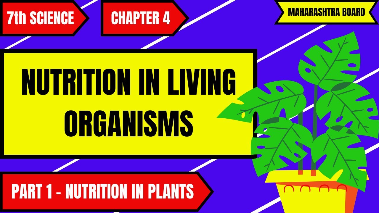 7th Science Chapter 4 Nutrition In Living Organisms Part 1 7th-science-chapter-4-nutrition-in-living-organisms-part-1
