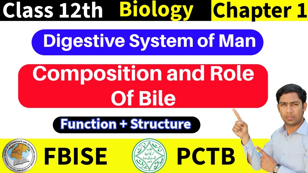 Explain Bile Composition and Function | Class 12 Biology Chapter 1 ...