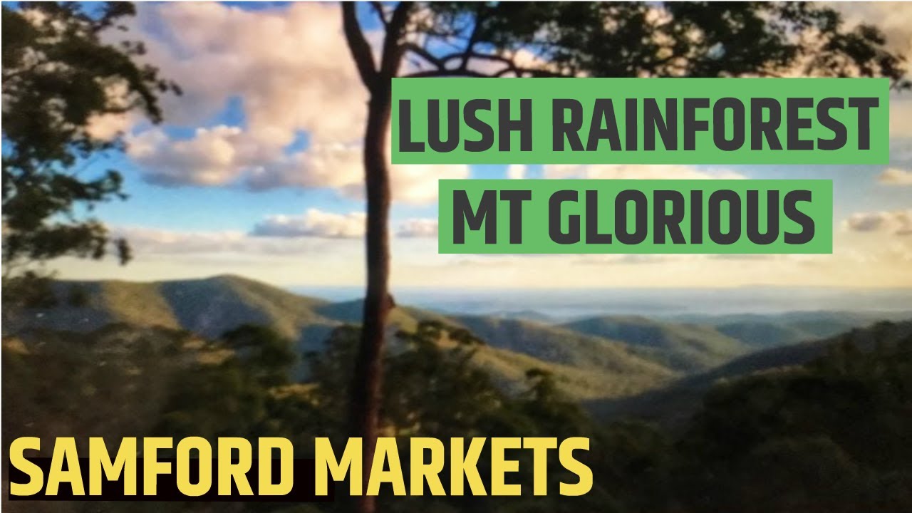 RAINFOREST WALKS - Mt Glorious and Samford Markets | Queensland ...