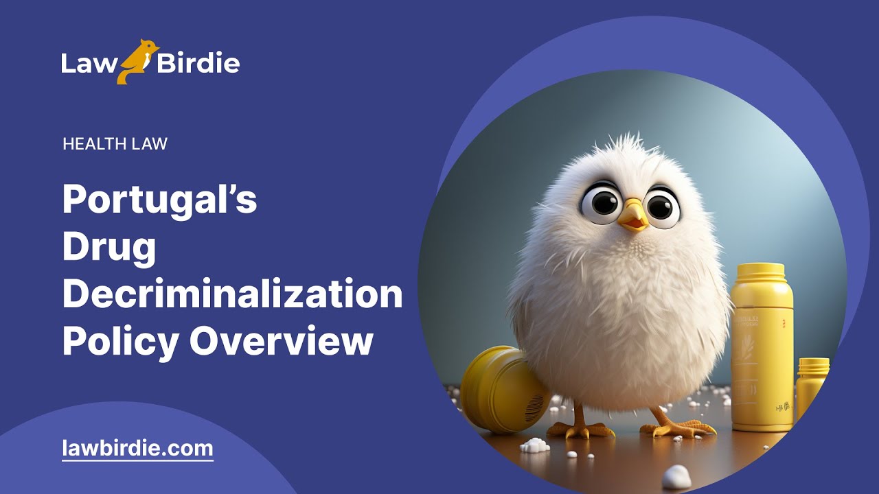 Portugal’s Drug Decriminalization Policy Overview - Essay Example - YouTube
