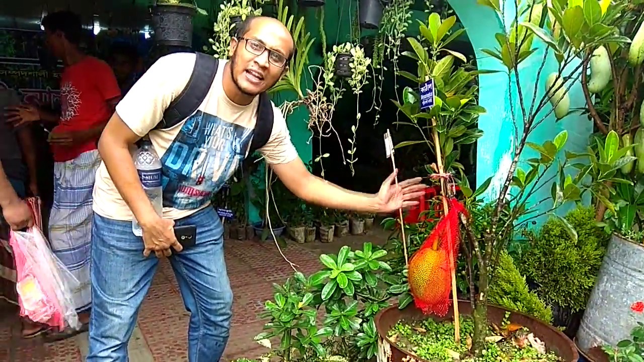 National Tree Fair 2017 - YouTube