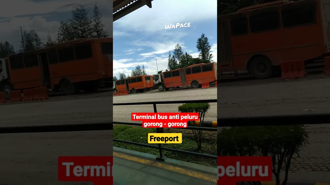 Terminal Gorong Gorong Freeport #shorts #freeport #bus - YouTube