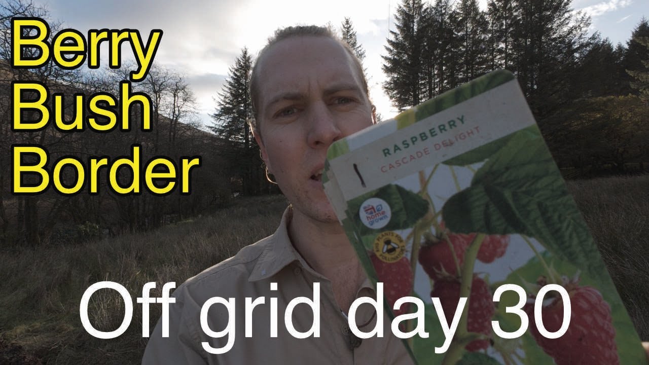 Off Grid-Day 30-Berry bush border - YouTube