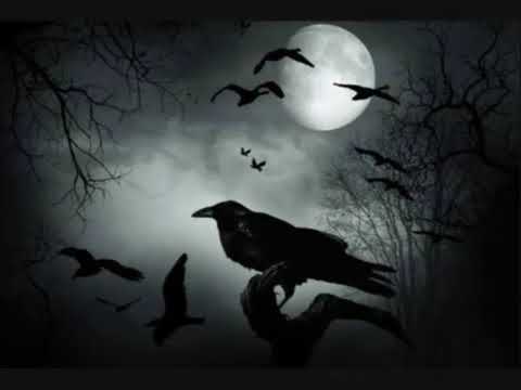 Come Join The Murder with Lyrics
