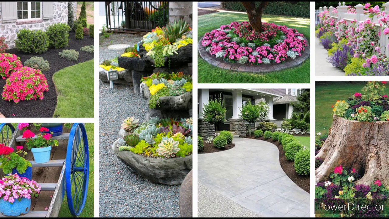 Frond area garden designing#frond yard Landscaping - YouTube
