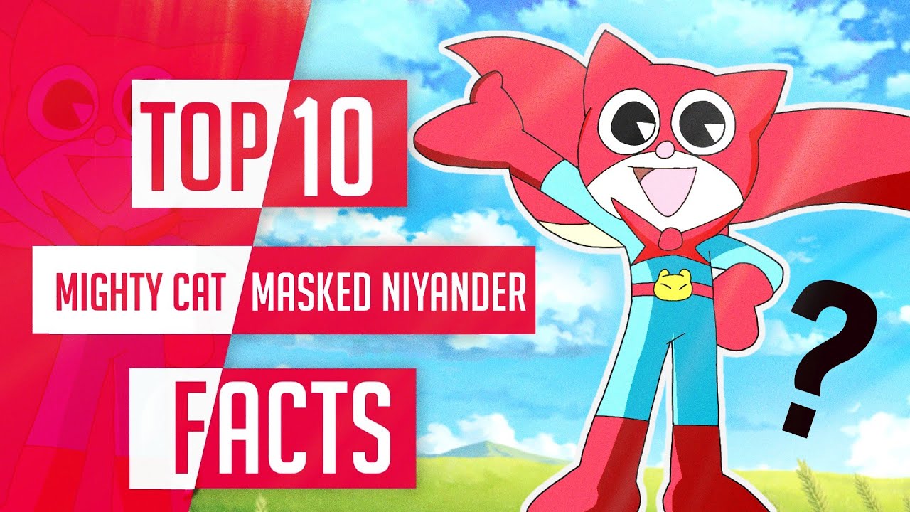 Top 10 Amazing Mighty Cat Masked Niyander Facts In Hindi | Secrets ...