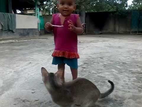 Cat Playing With a Baby | Cute Cat and Human Baby Playing With Each ...
