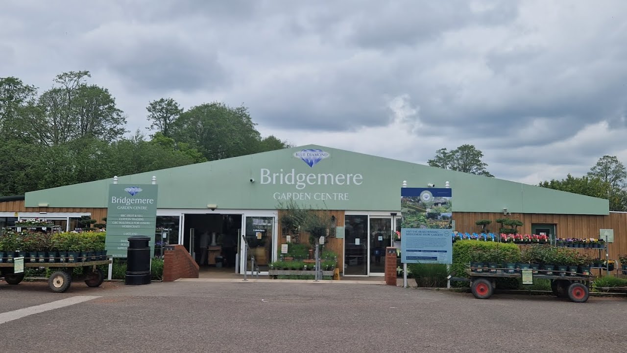 Bonsai material hunt at the largest nursery in the UK, Bridgemere ...