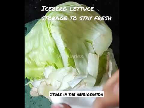 How to Store Iceberg Lettuce - The Kitchen Community
