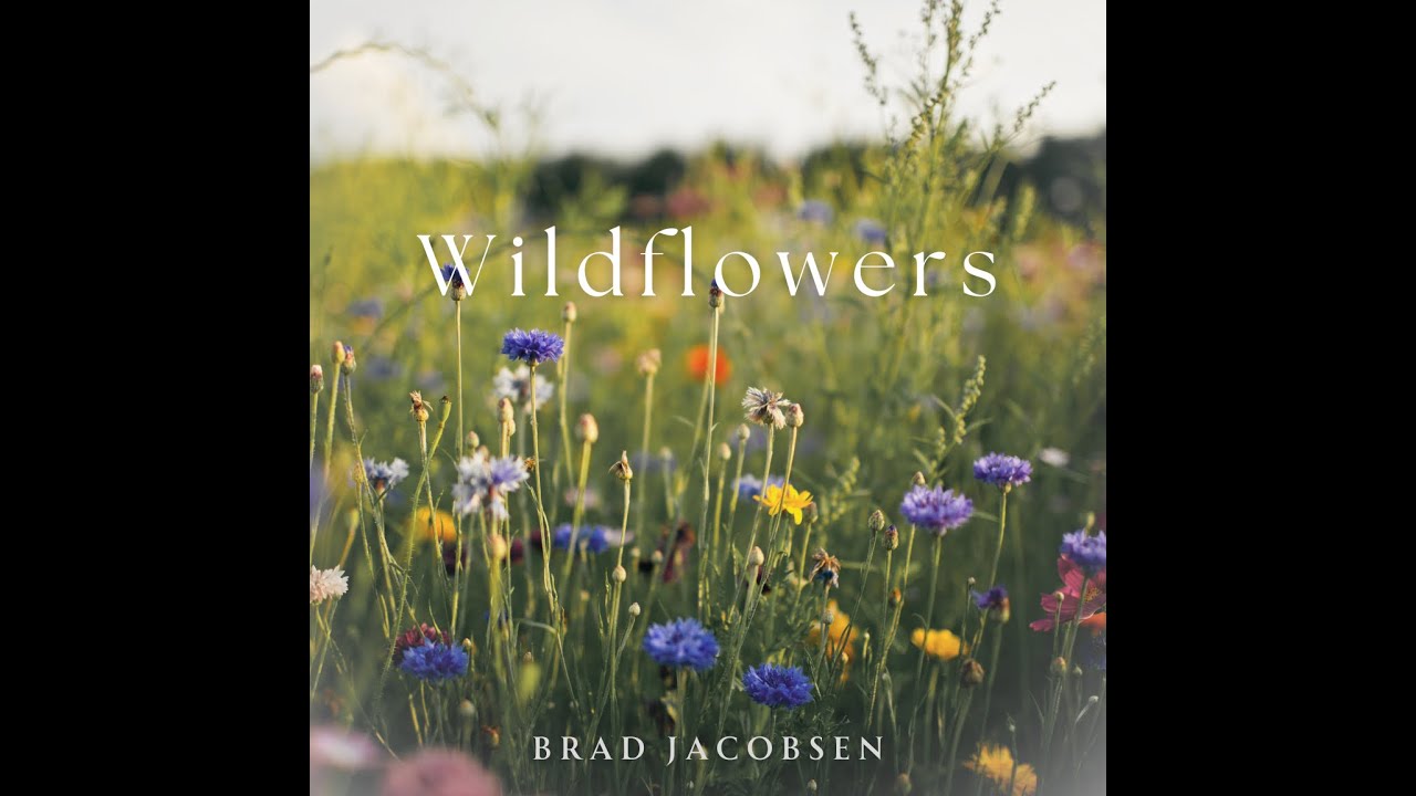 Wildflowers by Brad Jacobsen - YouTube