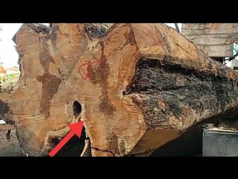 Amazing... The most dangerous big teak wood sawing skills at the sawmill