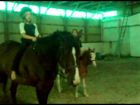 kids bareback on horses - YouTube