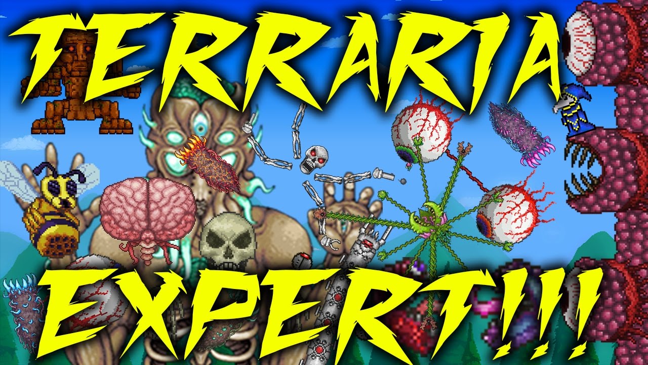 The Beginning - Terraria Expert Mode #1 - YouTube