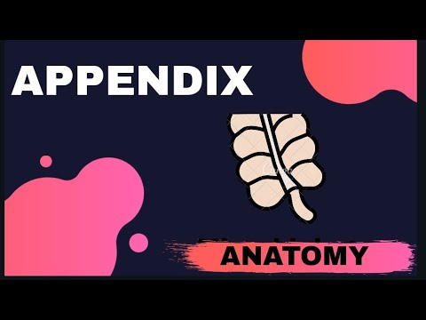 APPENDIX (Mc burney point and other important points) - YouTube