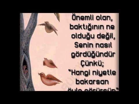 kırıkkalp 55 canım aşkım