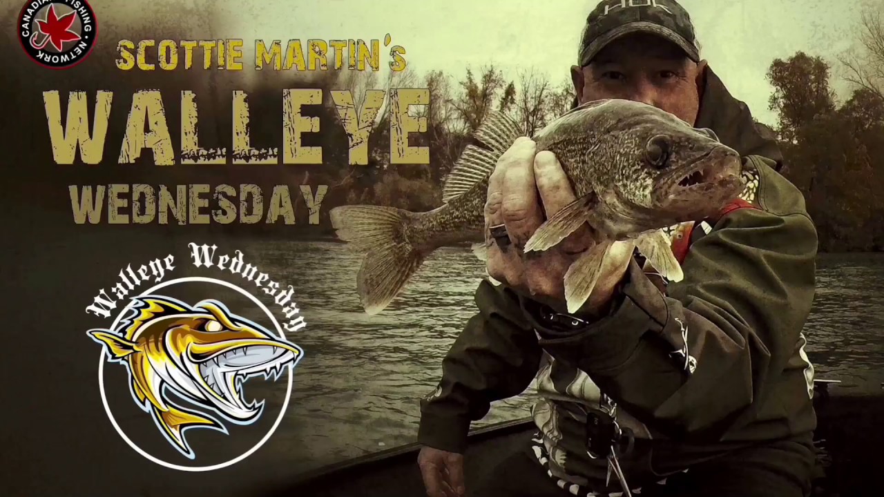Walleye Wednesday 100th Episode feat Bring Anglers together - YouTube