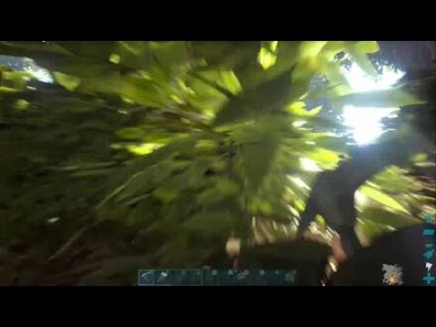 ARK Stuff 2 - YouTube