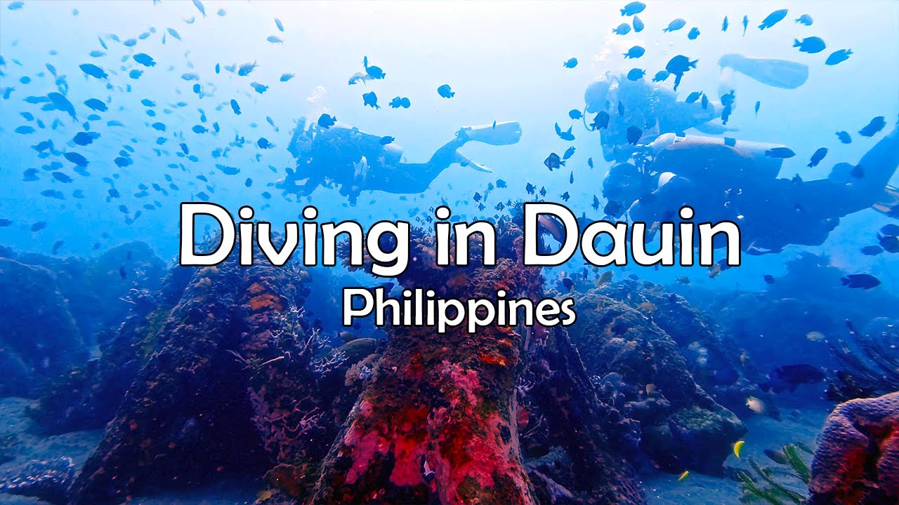 Unbelievable Encounters: Scuba Diving in Dauin, Philippines - YouTube