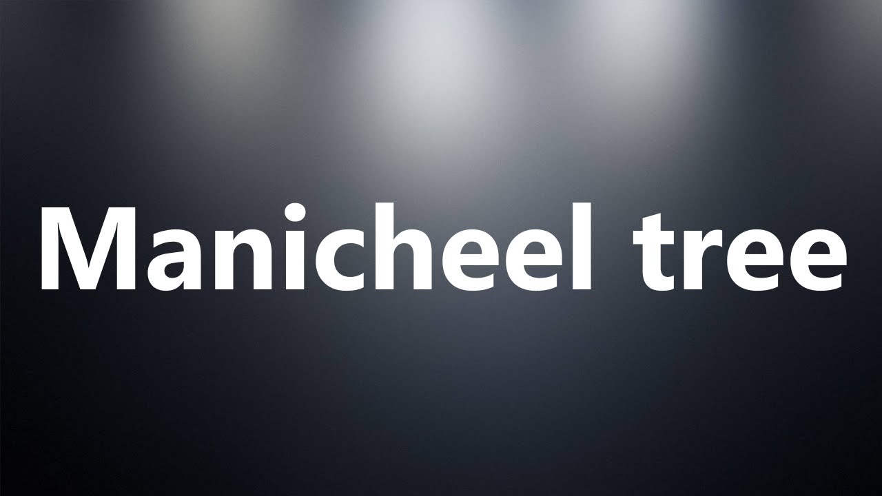 Manicheel tree - Medical Definition and Pronunciation - YouTube