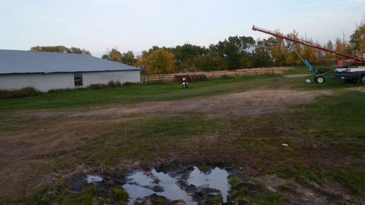 Ryder starts to jump! - YouTube