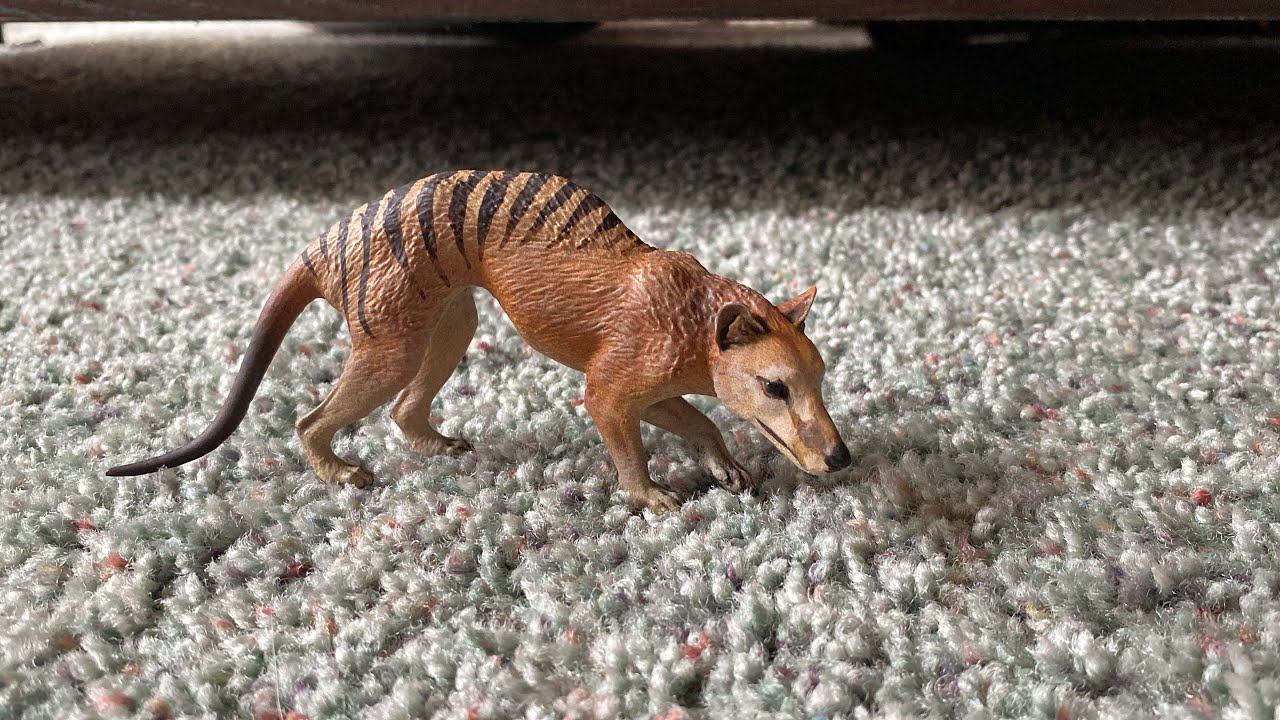Etsy Hellbender Museum Thylacine Figure Unboxing & Review - YouTube