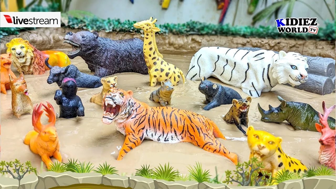 Forest Animal Olympics: Who's the Fastest, Strongest? - YouTube