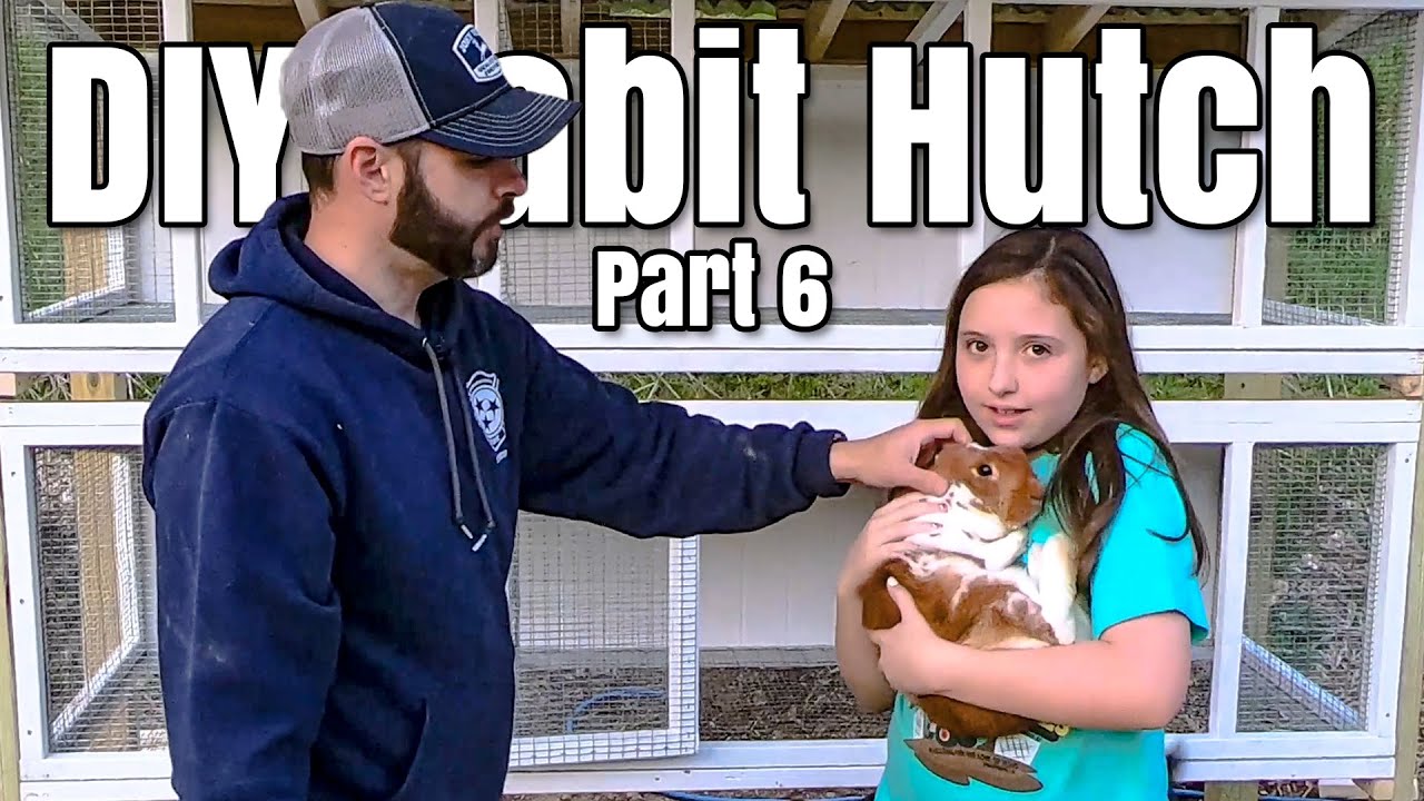 Building a DIY Rabbit Hutch - Part 6 Hanging Rabbit Cages - YouTube