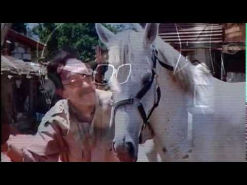 CEM KARACA - Hayvan Terli (Video Klip)