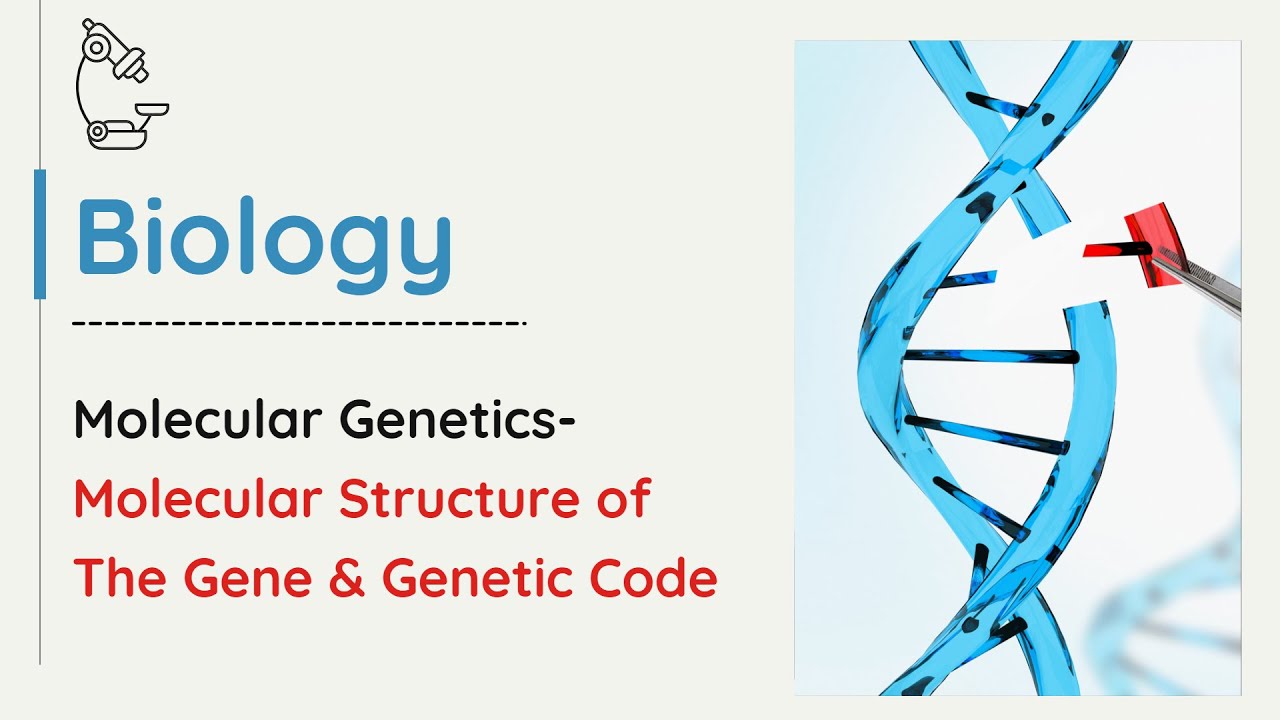 Molecular Genetics I The Molecular Structure of the Gene & Genetic Code - YouTube