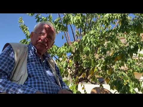 İnsan insandır olmasa bir pulu, eşek eşektir altından olsa çulu
