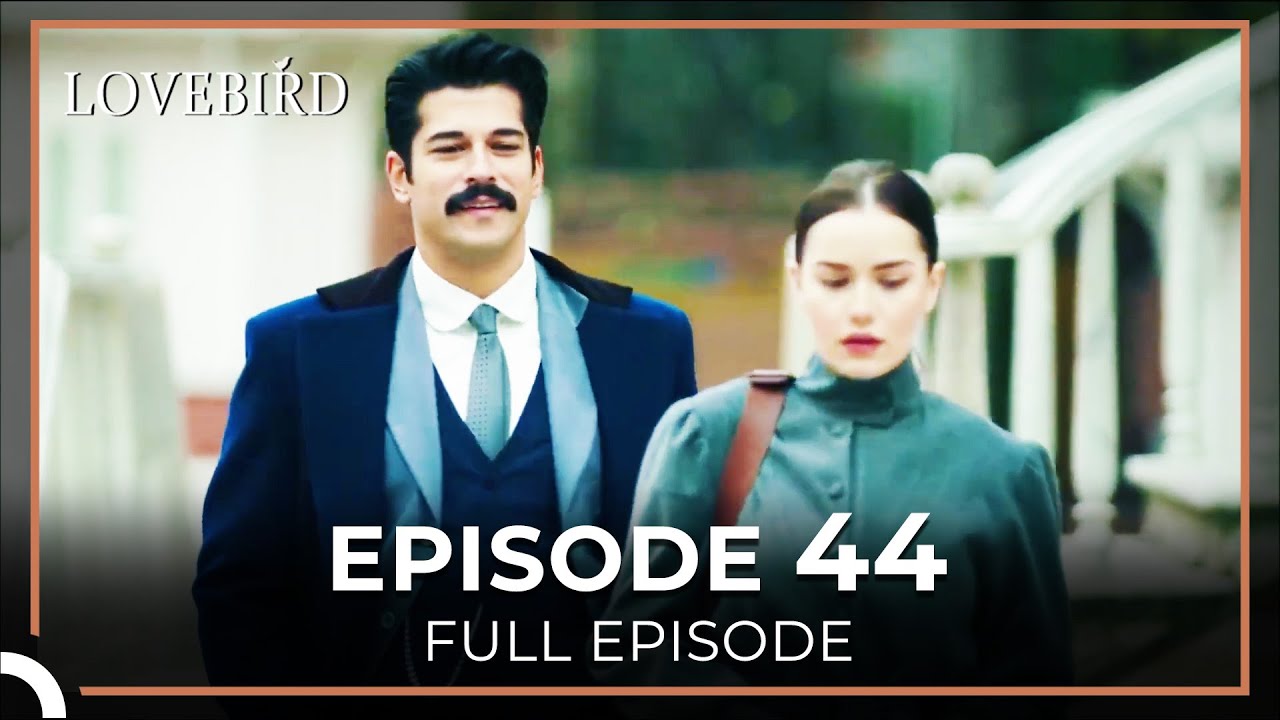 Lovebird Episode 44 - YouTube