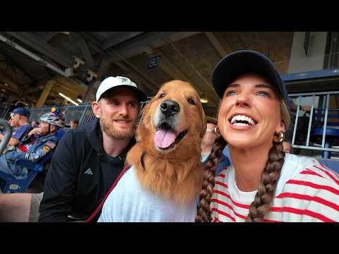 We Took Our Dog to His First Baseball Game and He Loved It