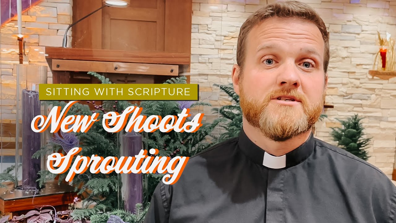 Sitting with Scripture with Fr. Andrew ~ NEW SHOOTS SPROUTING - YouTube
