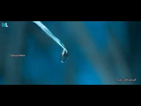 Col - Amorf status video ringtone bass boosted | dynamic dj - YouTube