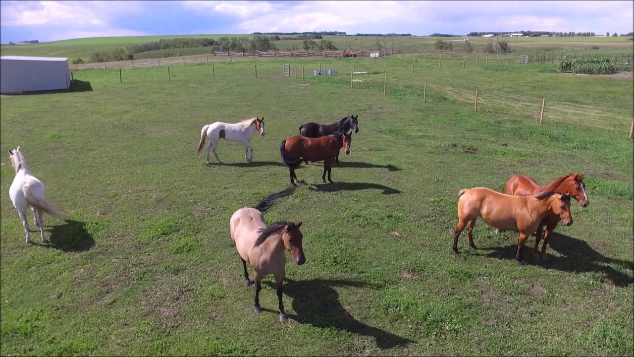 Sundre Alberta - YouTube