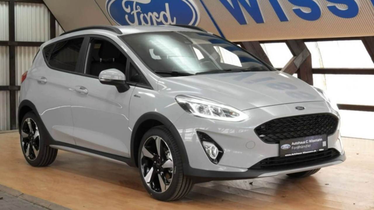 Ford Fiesta St Blizzard Grau